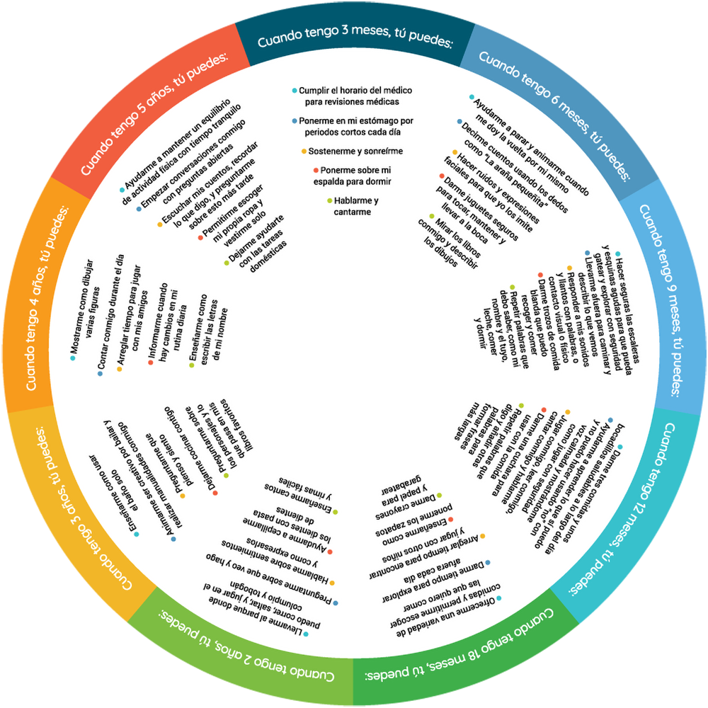 Developmental Wheel Activities Spanish | One Before Two