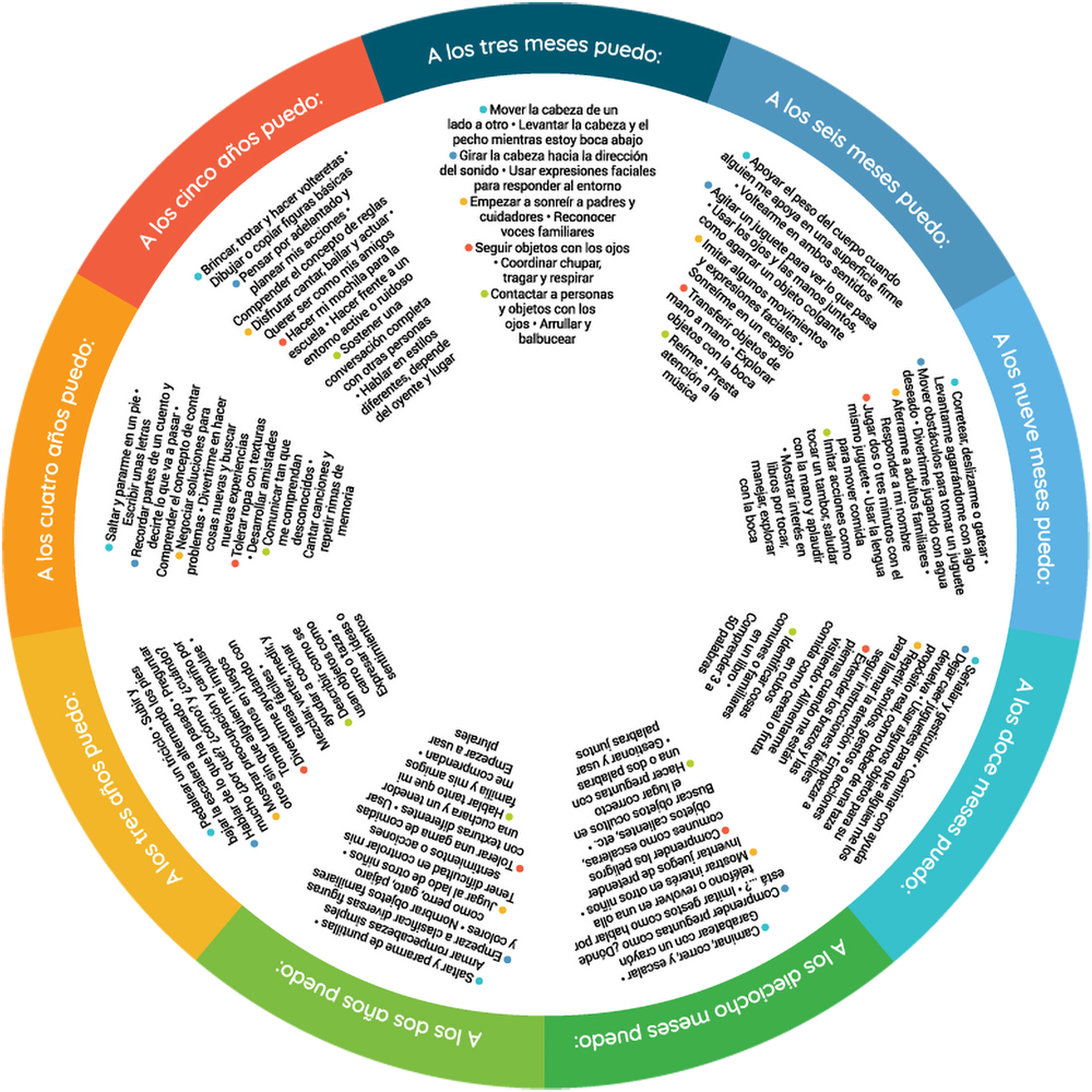 Developmental Wheel Age & Stage Spanish | One Before Two