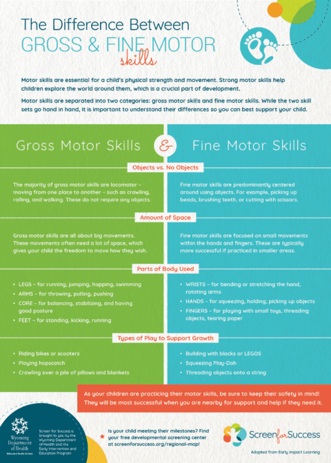 Gross vs. Fine Motor Skills | One Before Two